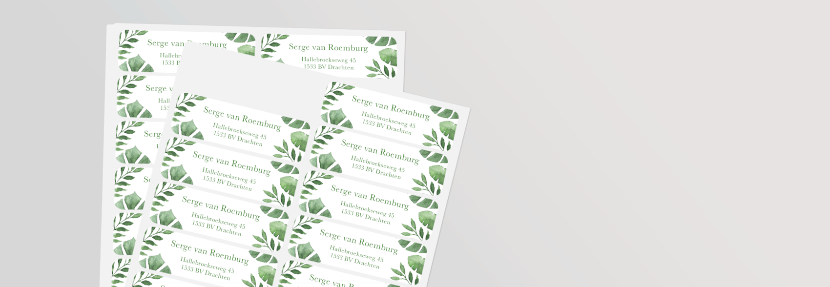 Adresstickers maken, adresetiketten personaliseren | VistaPrint