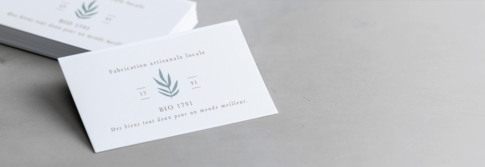 Cartes de visite professionnelles standard | VistaPrint