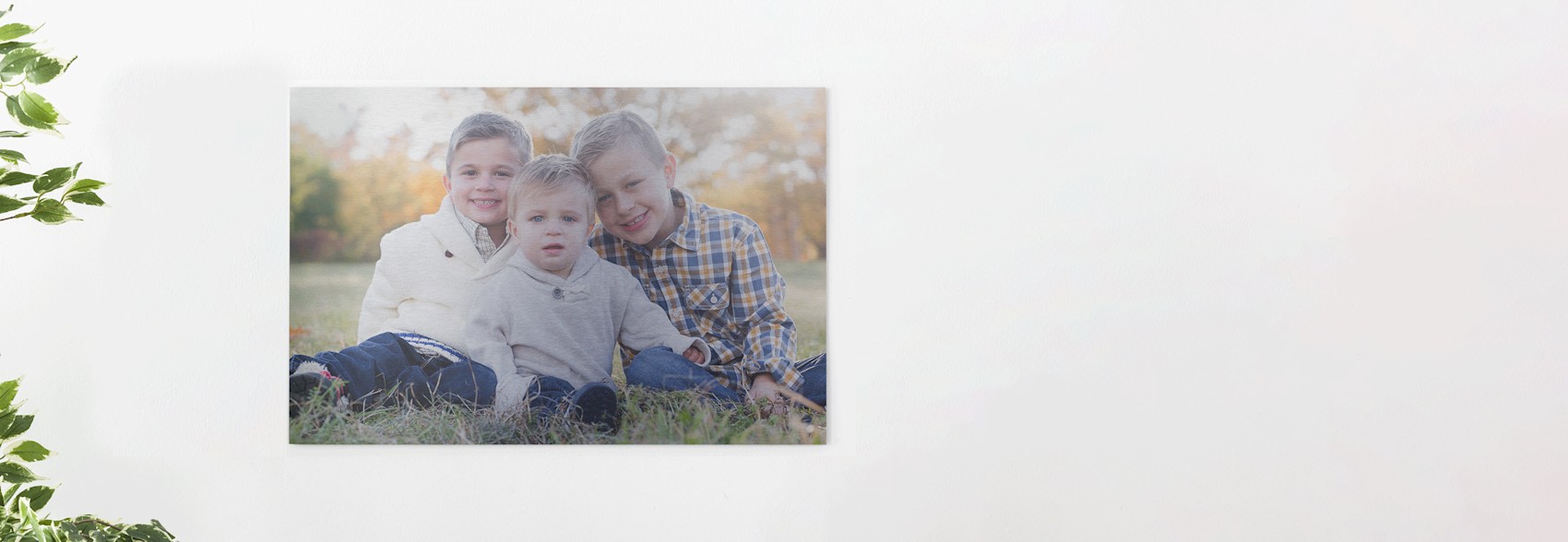 Fotos en aluminio, Impresión en aluminio | Vistaprint