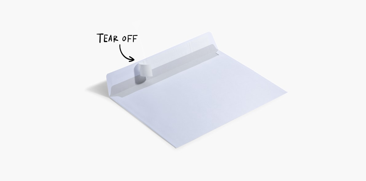 Business Envelopes | Printed Envelopes for Business | VistaPrint