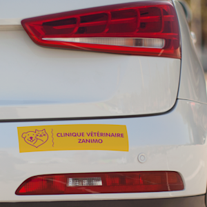 Autocollants voiture, stickers pare-choc personnalisés | VistaPrint