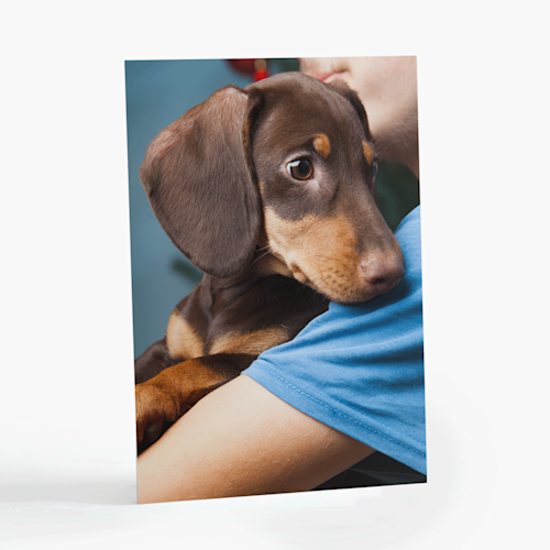 VistaPrint Discount & Promo Codes 2024