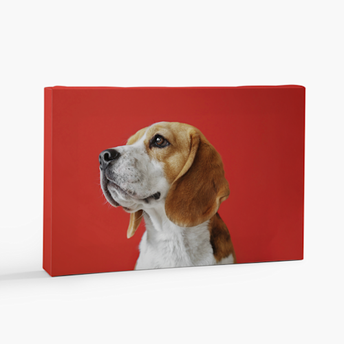 VistaPrint Promo Code | VistaPrint Discounts and Deals 2025