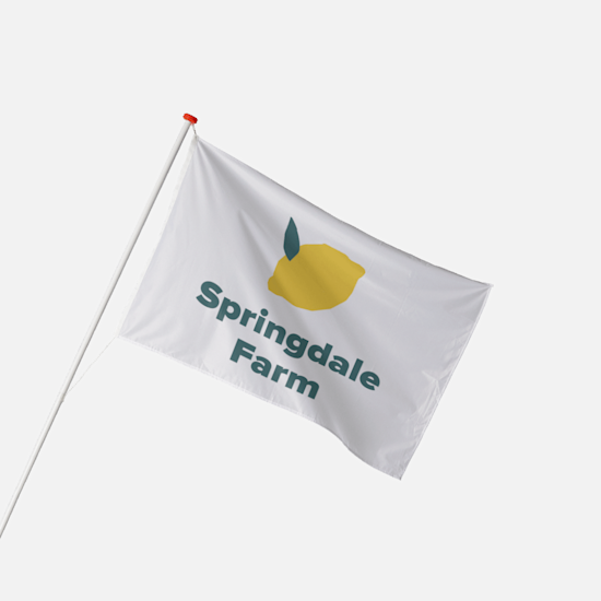 Custom Flags: Feather, Sail, Teardrop Flags | VistaPrint