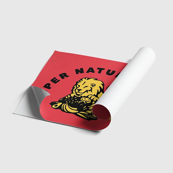 We Print That For You | VistaPrint