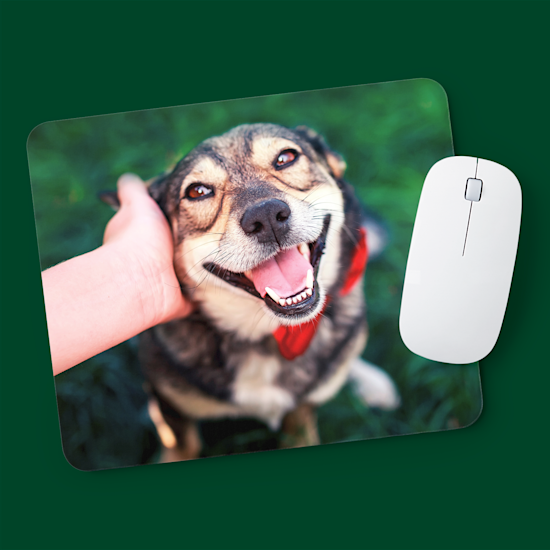 Gifts for anyone | VistaPrint