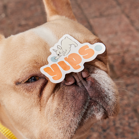 We Print That: Your Expert Print Partner | VistaPrint