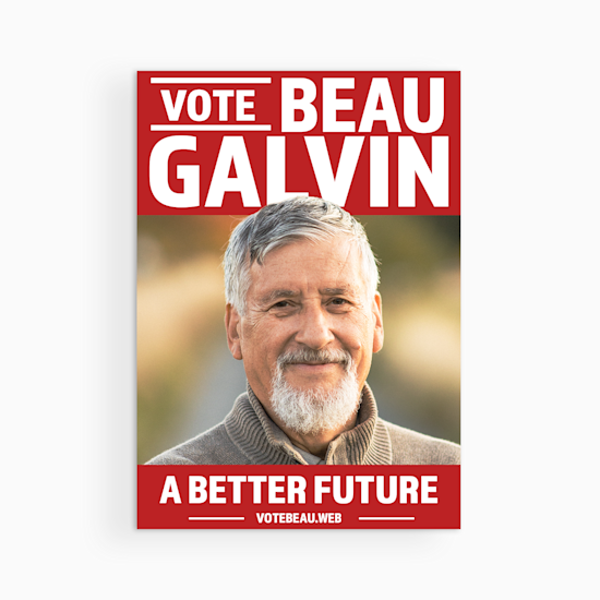 Marketing Materials for Political & Election Campaigns | VistaPrint