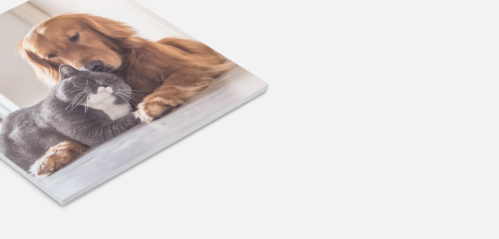 Photo Tiles, Restickable Photo Tiles | VistaPrint