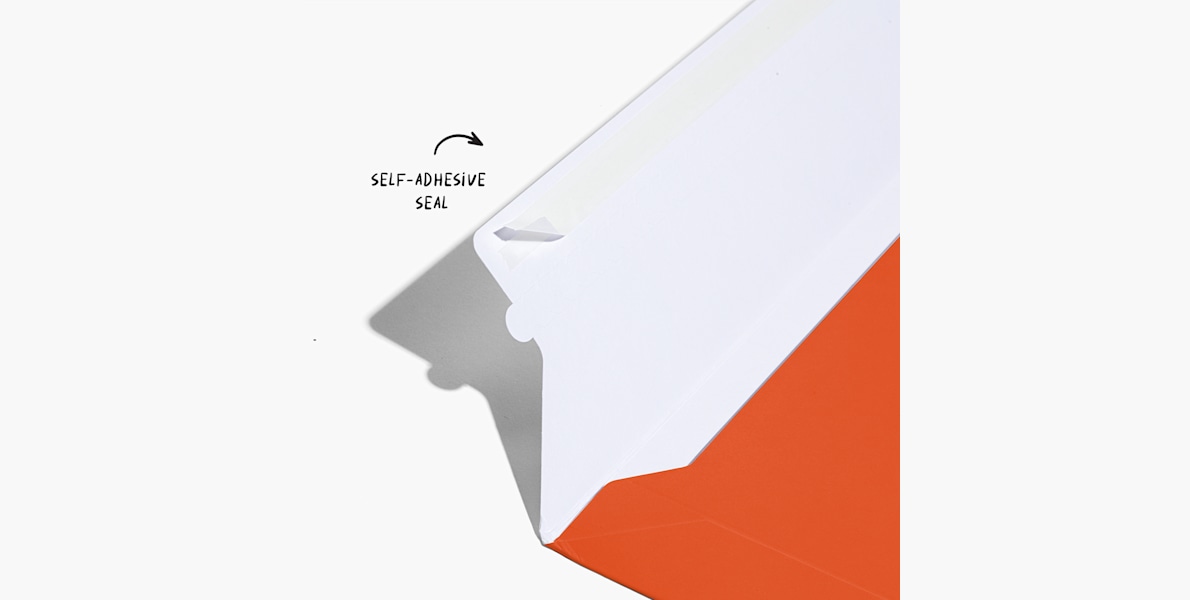 Custom Cardboard Envelopes | VistaPrint