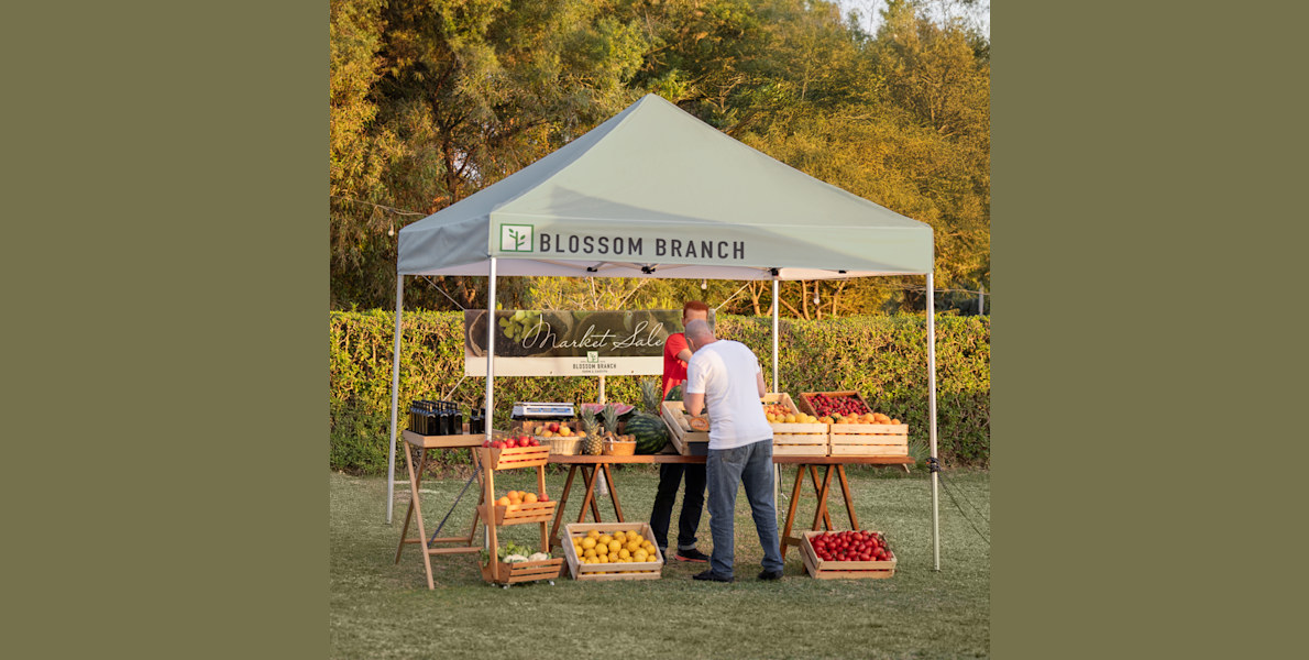 Gazebo Tents, Pop-Up Gazebos with Sides | VistaPrint