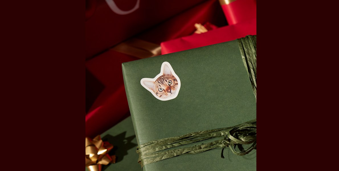 Stickers portraits personnalisés - Vos photos en stickers | VistaPrint