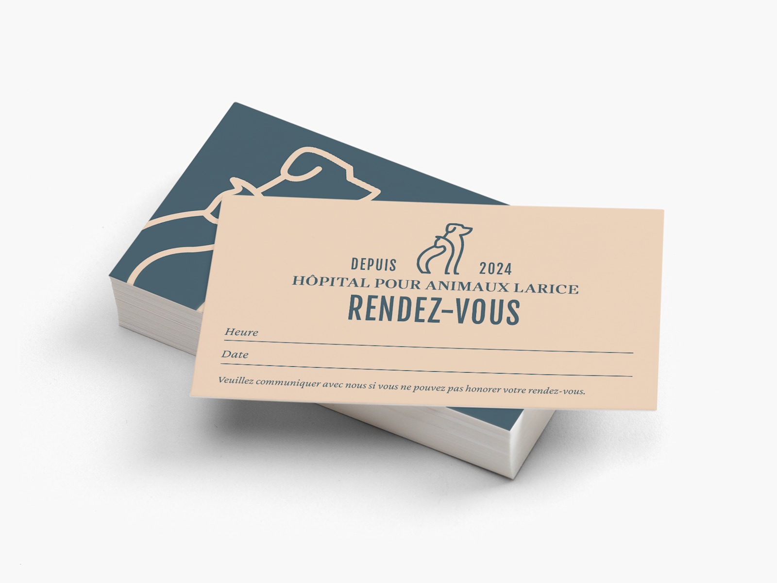 Cartes de rendez-vous : Graphisme et impression | VistaPrint