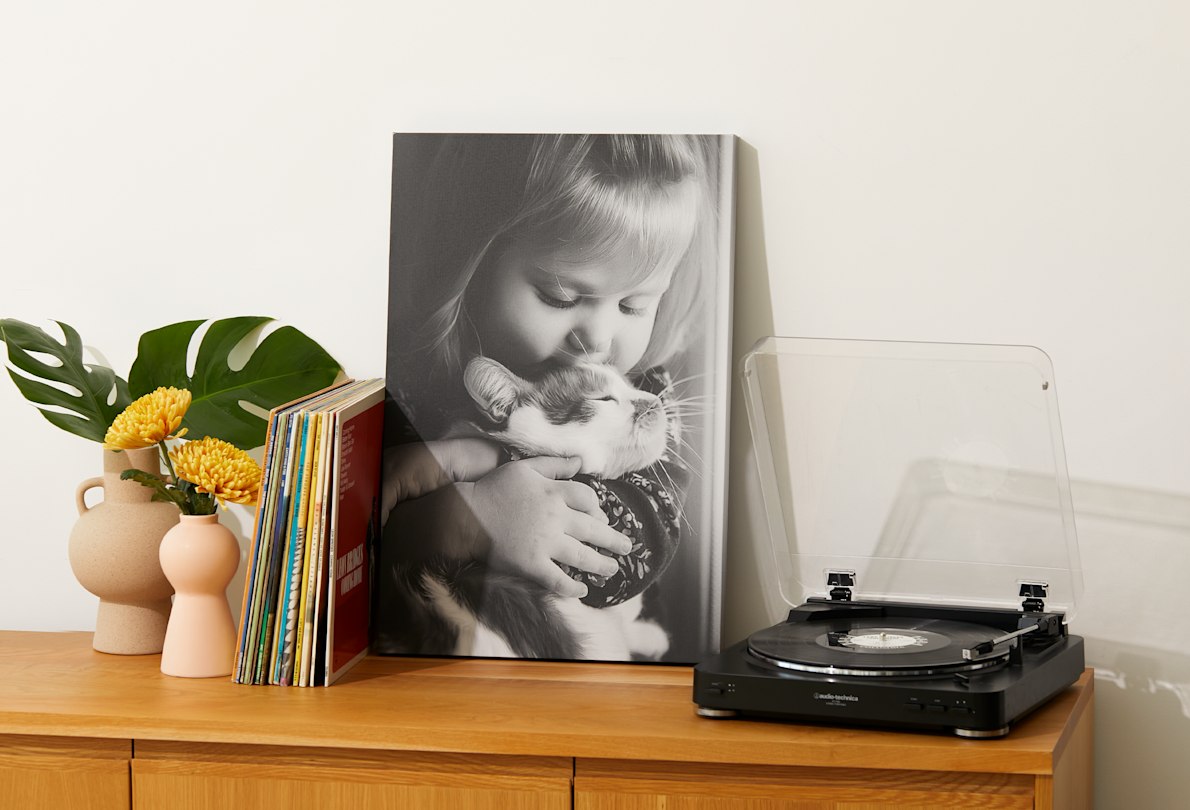 Foto su tela, stampa su tela personnalizzate | VistaPrint