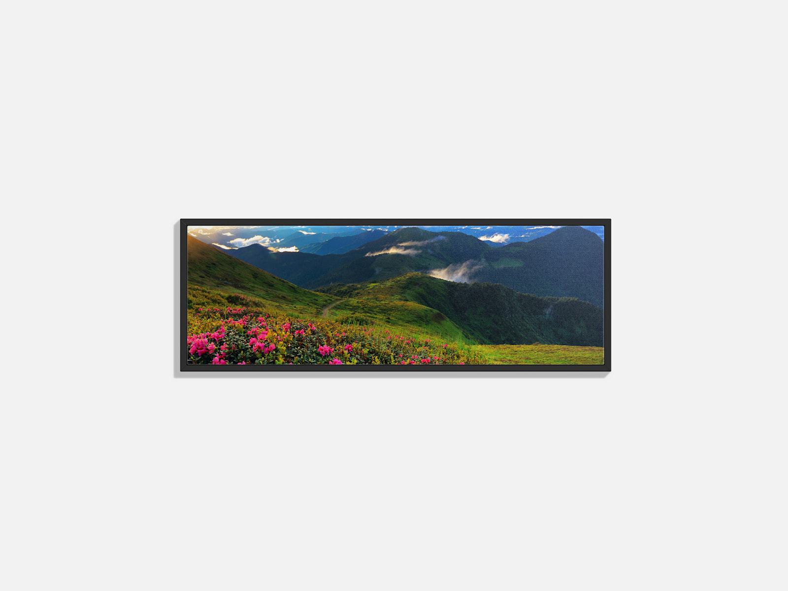 Custom Premium Photo Canvas | VistaPrint AU