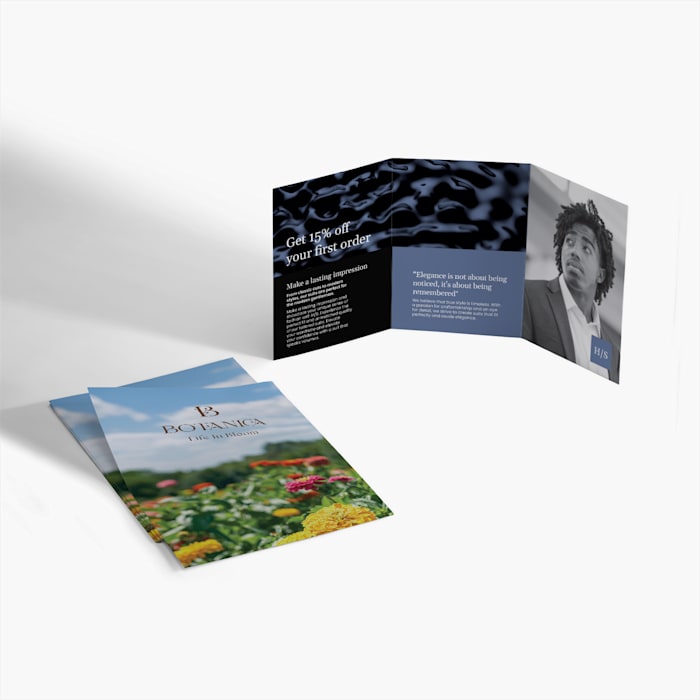 vista leaflets